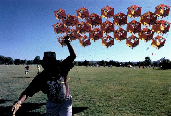 Dancing with the wind | New Zealand Geographic