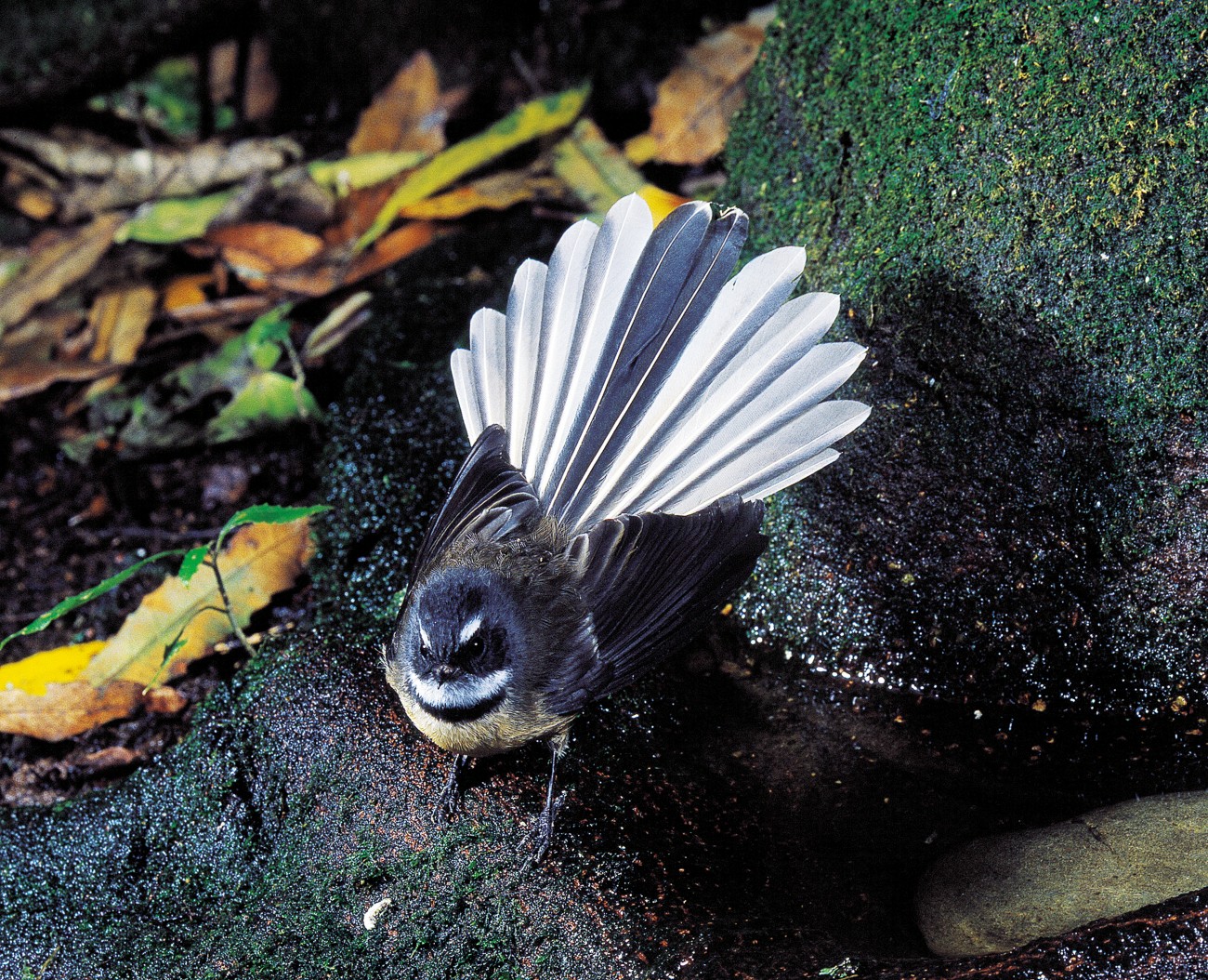 Together at home #61