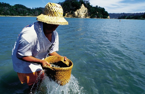 Ohiwa - The food basket of many hands | New Zealand Geographic