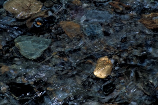 Gold | New Zealand Geographic