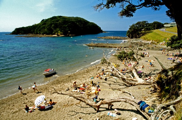 Goat Island revisited | New Zealand Geographic