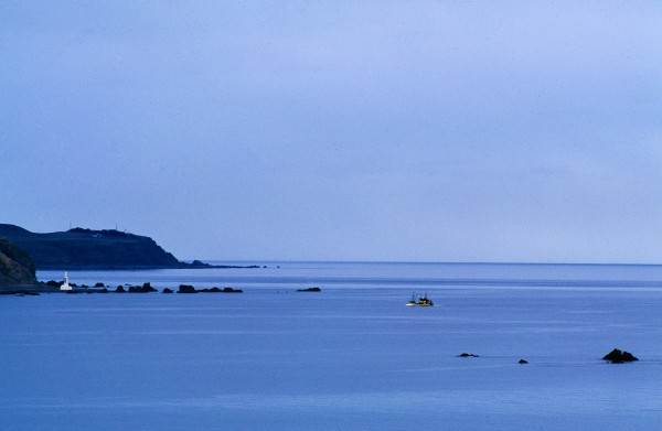 Dire strait | New Zealand Geographic