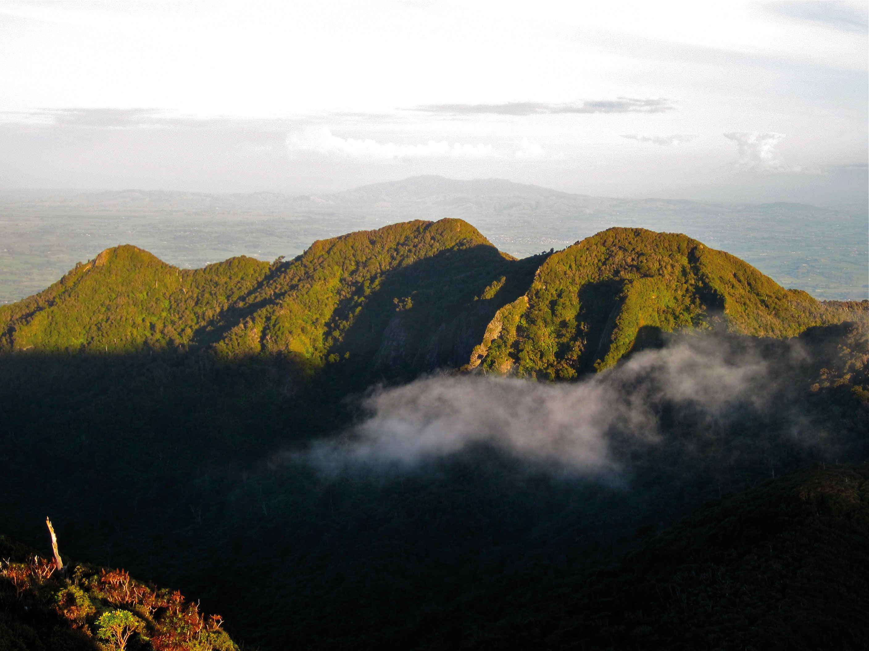 Mount Pirongia New Zealand Explore Pirongia | Waipā Journeys