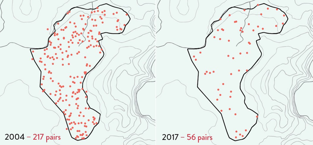 Freefall | New Zealand Geographic