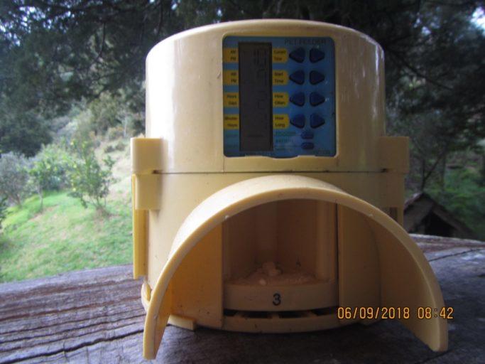 Using a bait station to catch predators | New Zealand Geographic