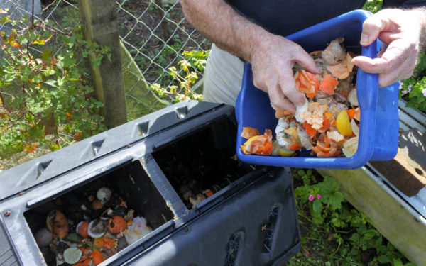 Aucklanders to get kerbside compost collection from 2021 | New Zealand ...