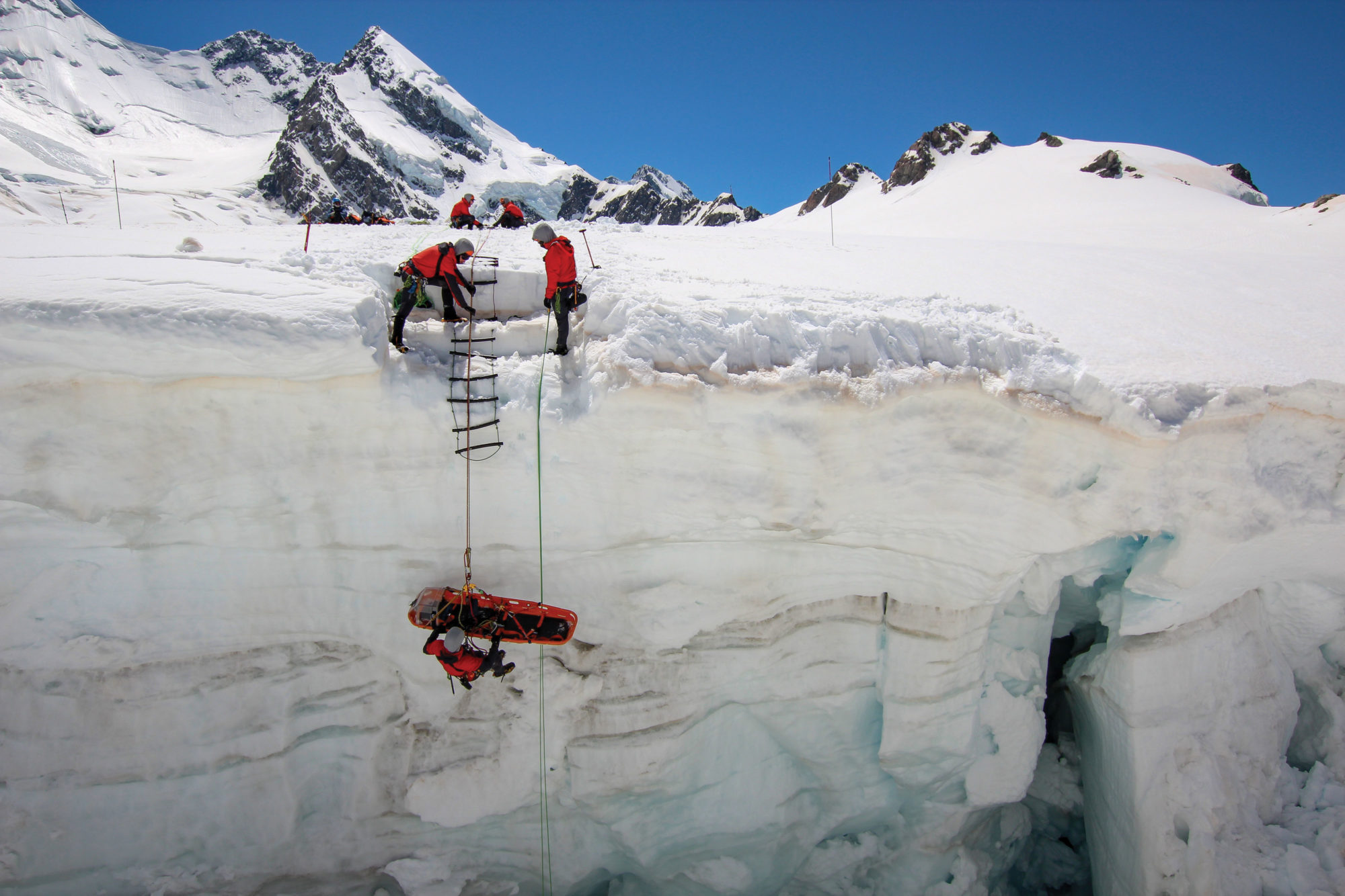 Wild Work | New Zealand Geographic