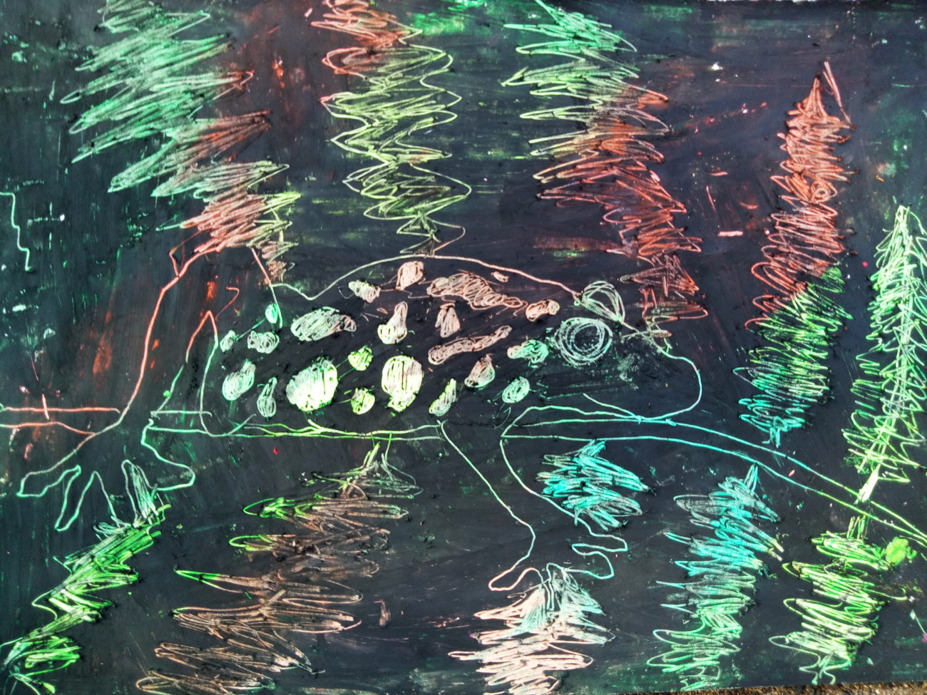 Sun 12: Frogs | New Zealand Geographic