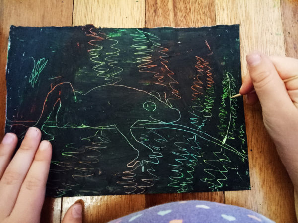 Sun 12: Frogs | New Zealand Geographic