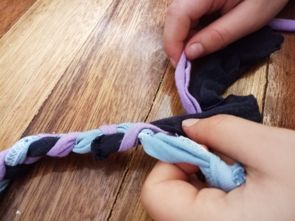 Thu 9: Pet day | New Zealand Geographic