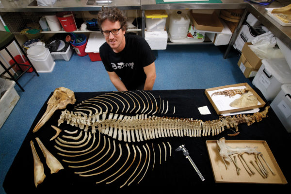 The bone people | New Zealand Geographic