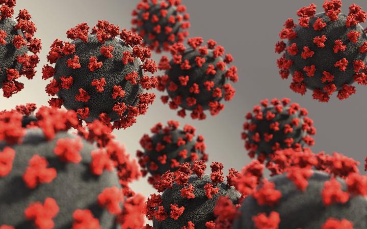 Siouxsie Wiles on genome testing for Covid | New Zealand Geographic