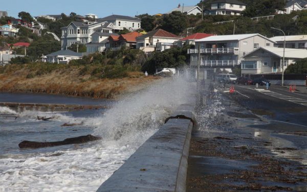 Fatberg closes Wellington beach | New Zealand Geographic