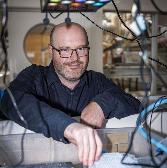 2020 Prime Minister's Science Prize winners | New Zealand Geographic