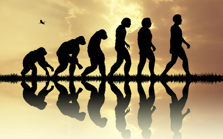 Alex Bezzerides: How evolution went wrong for humans | New Zealand ...
