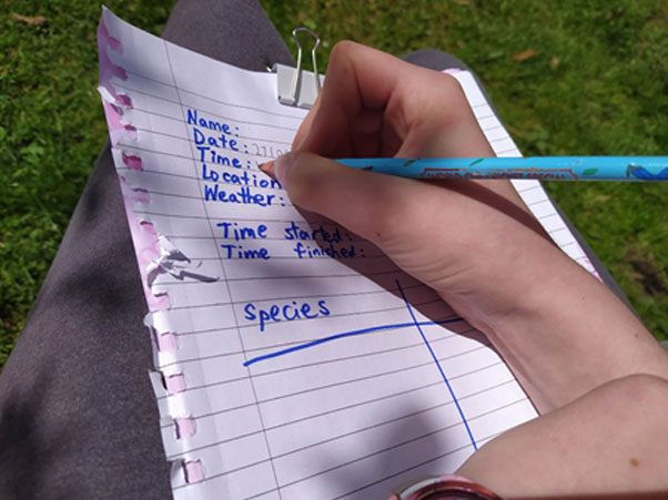 NZGeo: Together at Home Sep28