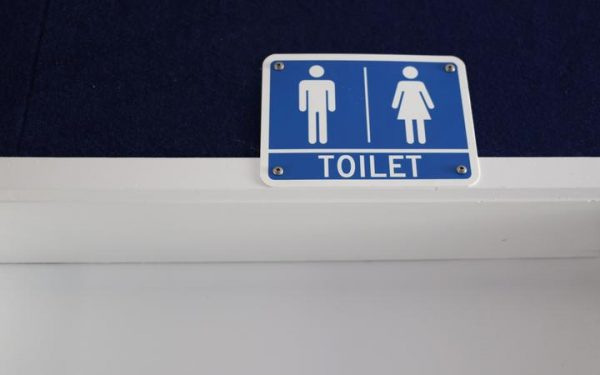 Welcome to the smart toilet era | New Zealand Geographic
