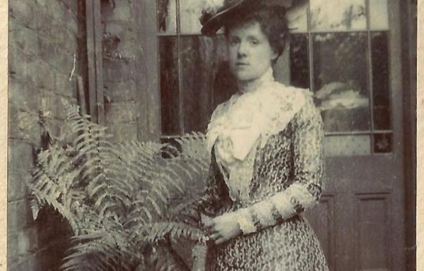 Aotearoa's 19th century viral fern craze | New Zealand Geographic