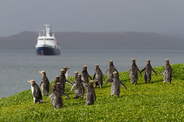 Forgotten Islands | New Zealand Geographic