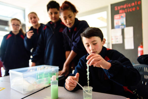Supplementary science resource gets thumbs up from pupils | New Zealand ...