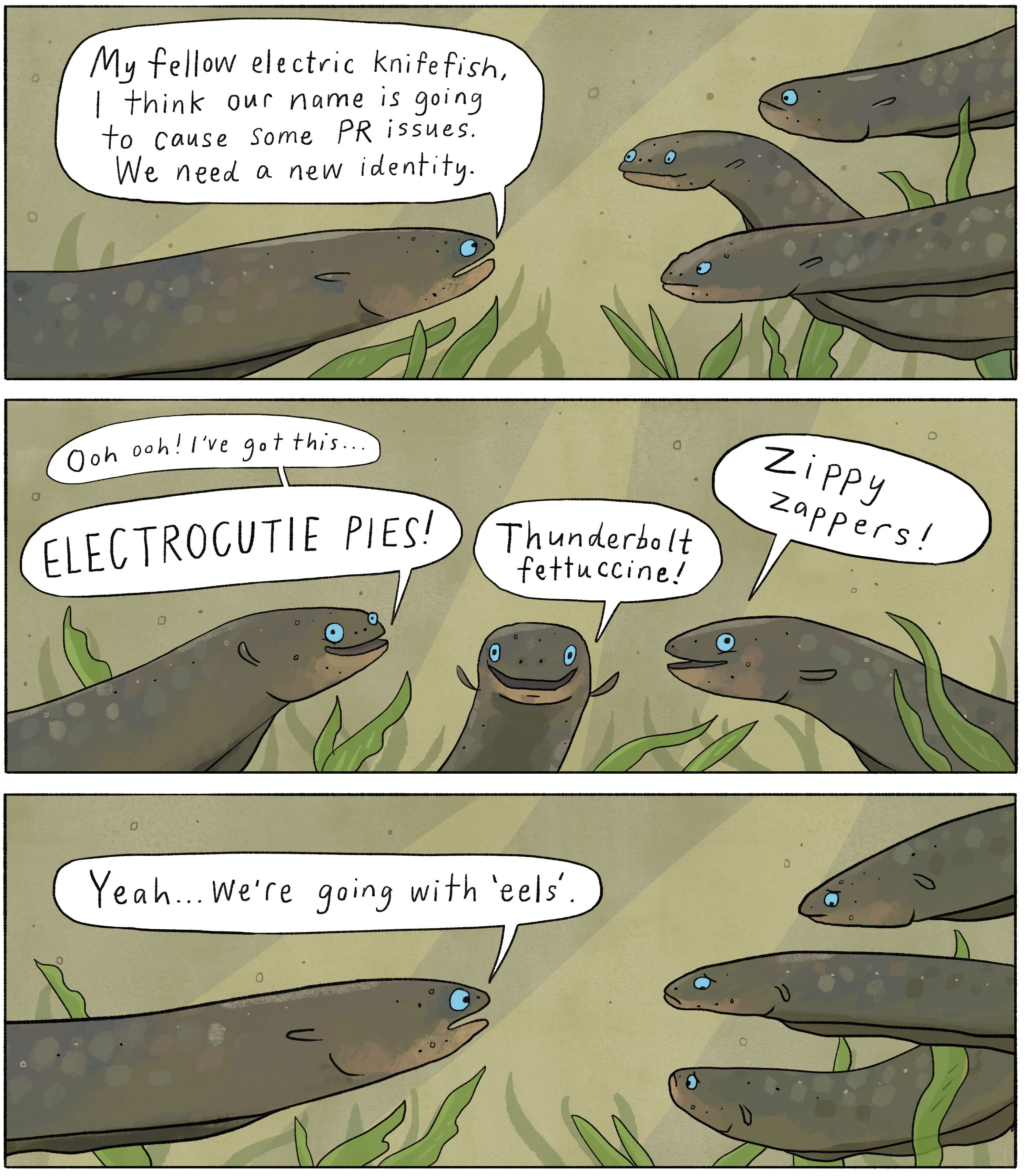 Electric Eel Sting Two New Species Of Electric Eel Come As A Shock To