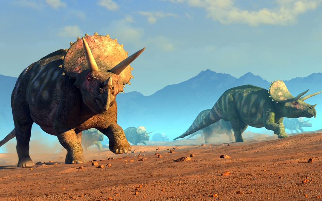 The history of real life dinosaur hunters | New Zealand Geographic