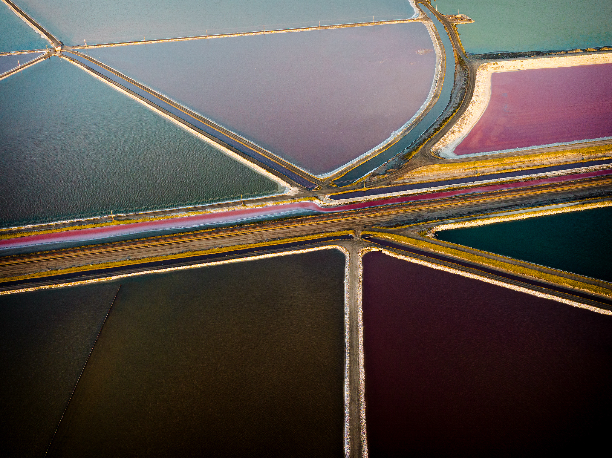 Photographer of the Year: One day to go