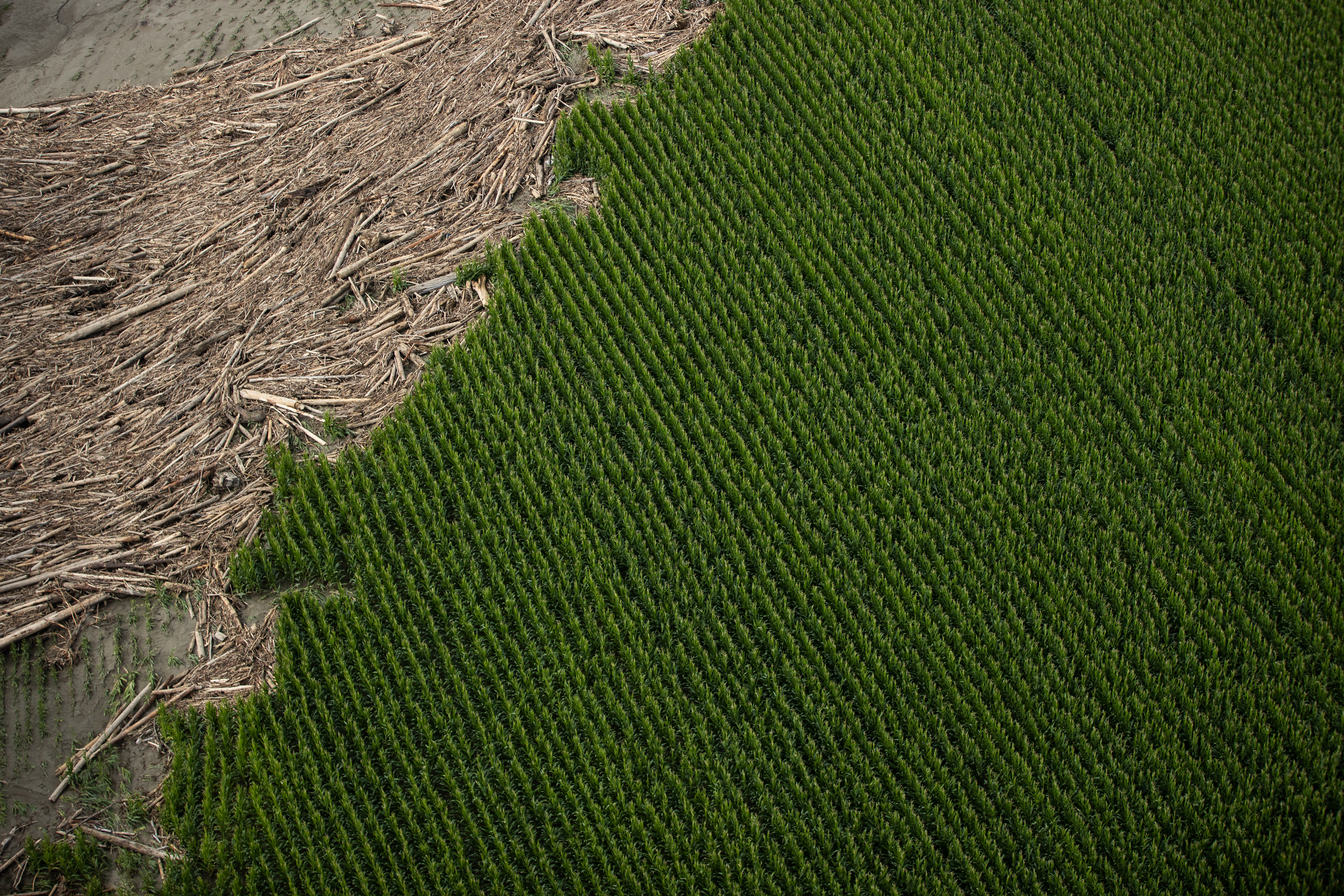 The Weekender // How far do we go to help an endangered species?