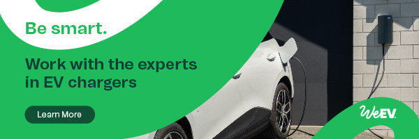 The Weekender // Last of the Sinbad skinks