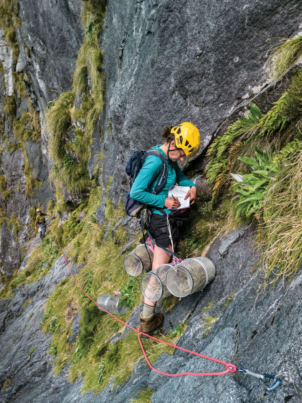 Off the wall | New Zealand Geographic