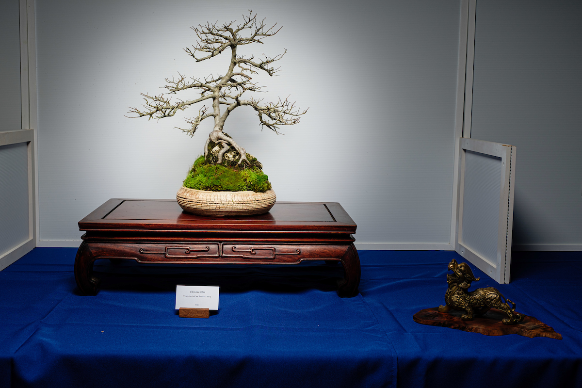 Little Beauties | New Zealand Geographic